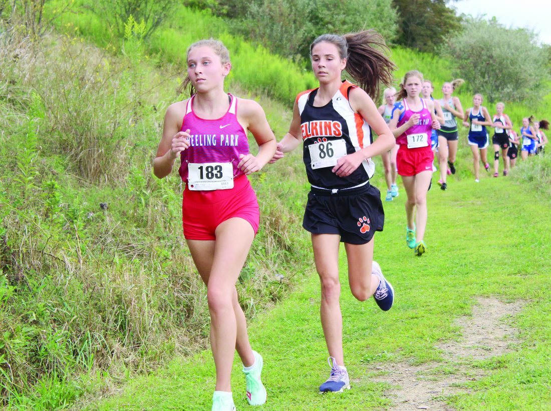 Elkins runners battle at UHS | News, Sports, Jobs - The Intermountain